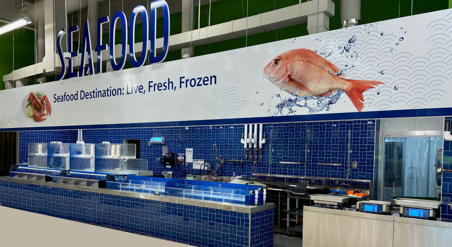 Live Seafood Systems