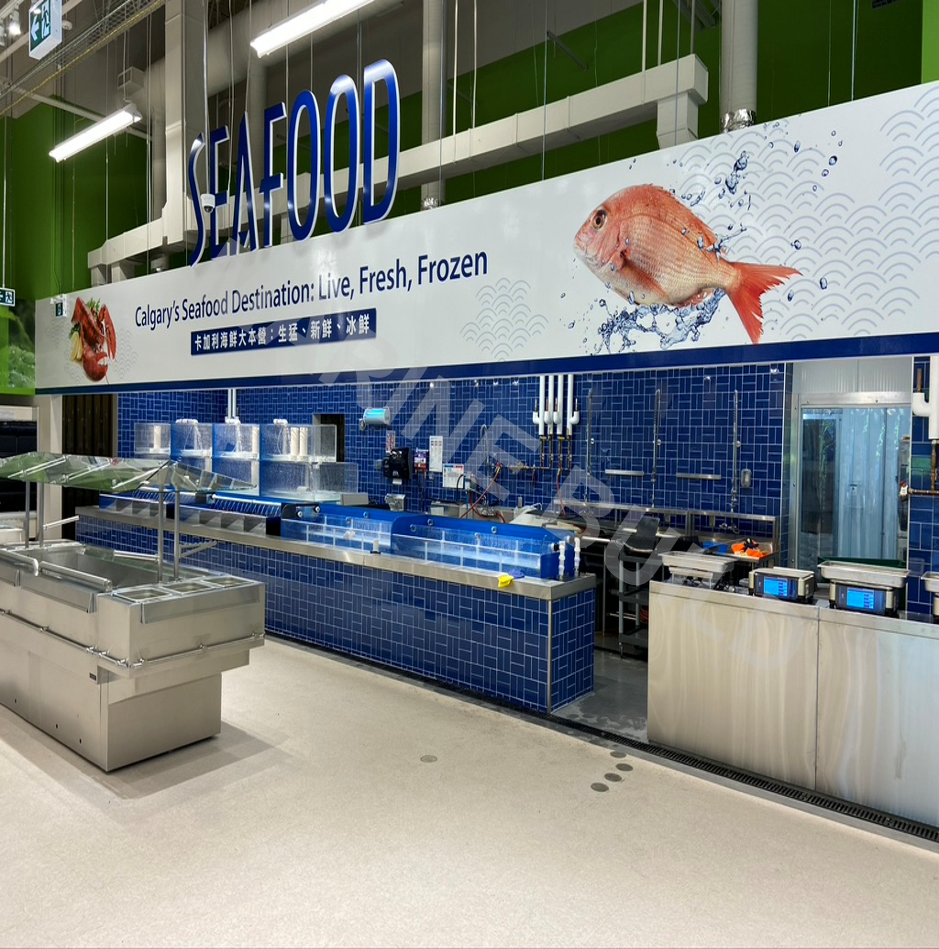 Live Seafood Systems